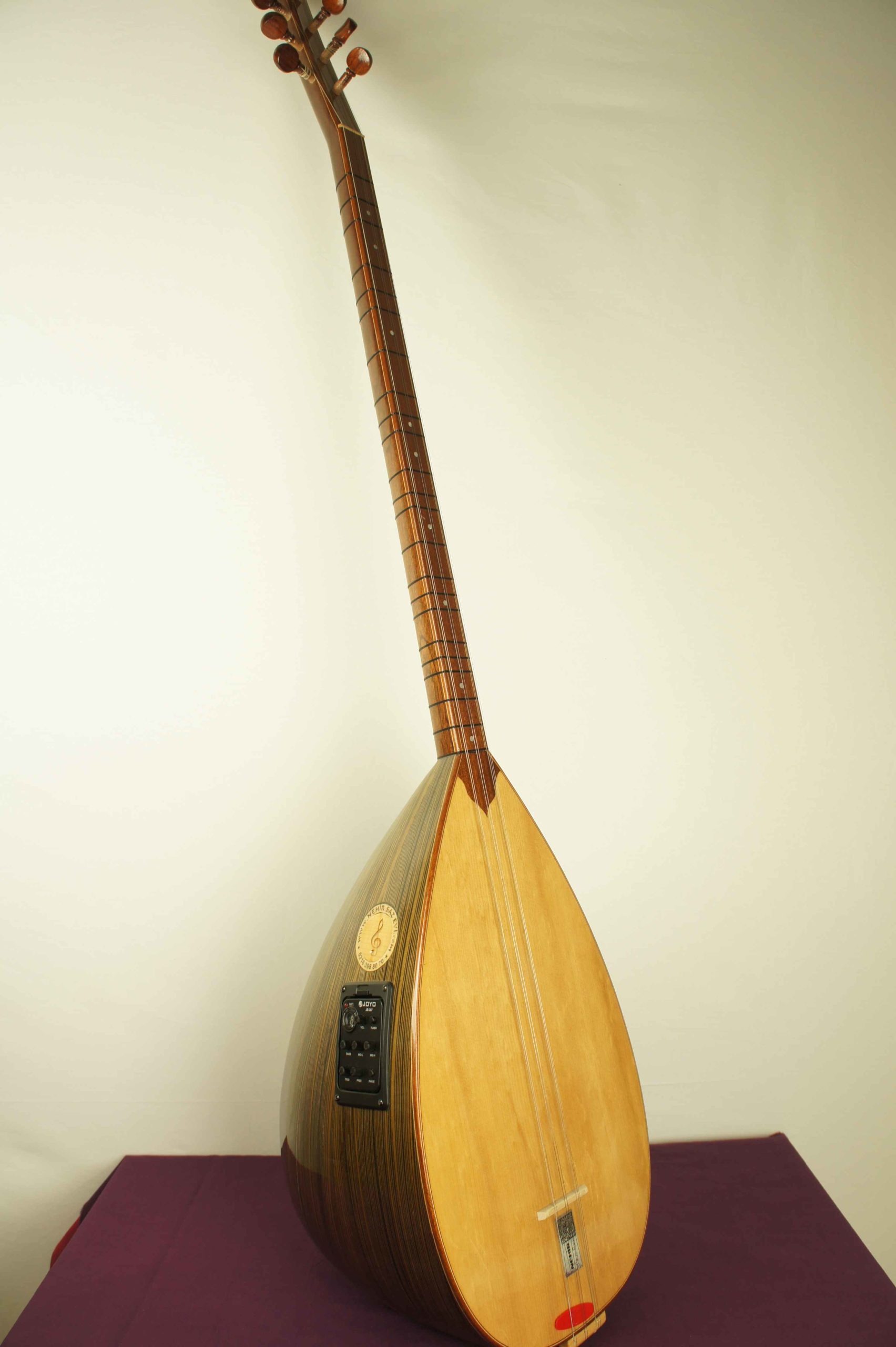 Uzun Sap Saz Venge Ağacı – Hüseyin Yıldıray Duman | İstanbul ...